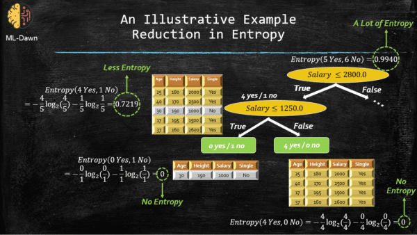 The Decision Tree Algorithm: Entropy – MLDawn Academy
