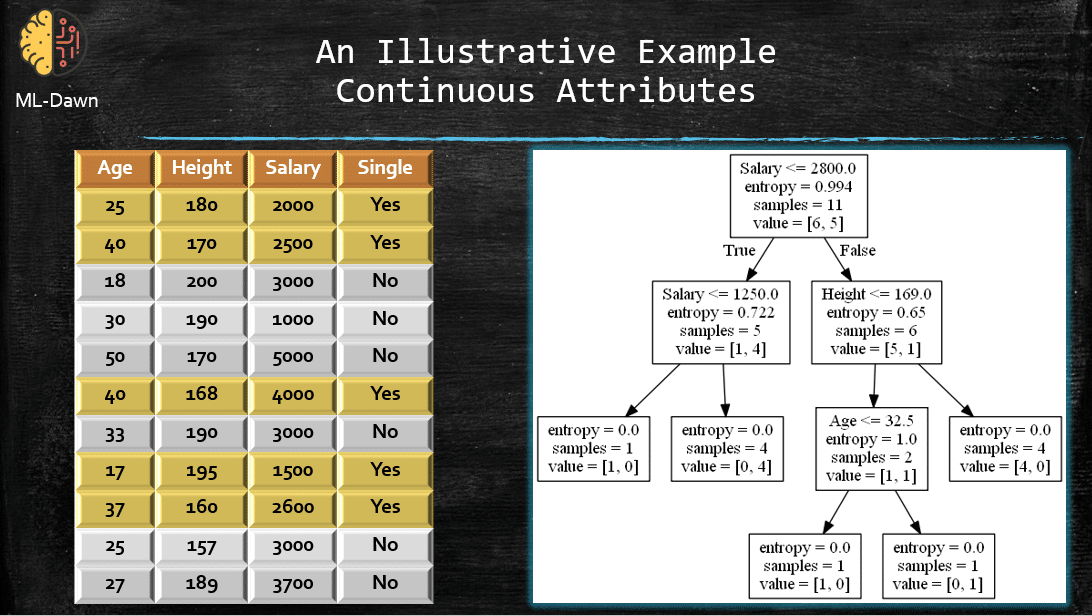 The Decision Tree Algorithm: Information Gain – MLDawn Academy