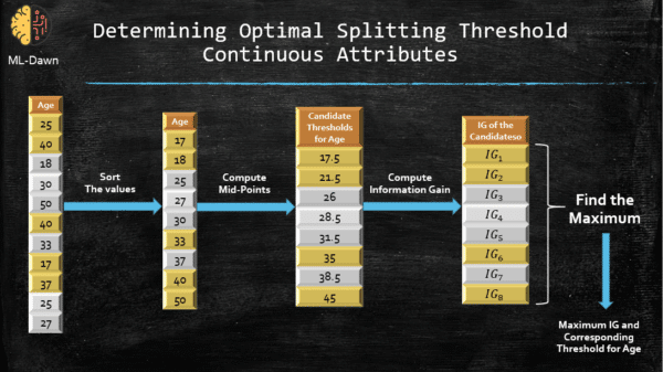 The Decision Tree Algorithm: Information Gain – MLDawn Academy